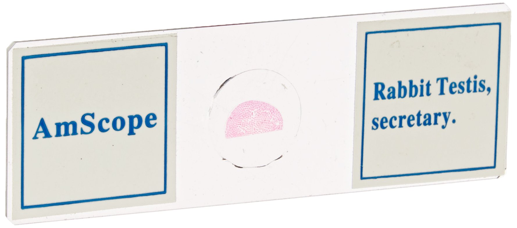 AmScope PS50A Prepared Microscope Slide Set for Basic Biological Science Education, 50 Biology and Pathology Slides, Includes Fitted Wooden Case
