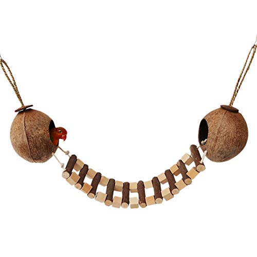 Coconut Bird Nest with Ladder for Parrots Parakeet Conures Lovebird Cockatiel Finch Canary, Small Animals Hideaway Hut, Coconut Shell Bird Cage Toy, Natural Coconut Squirrel House Hanging Loop