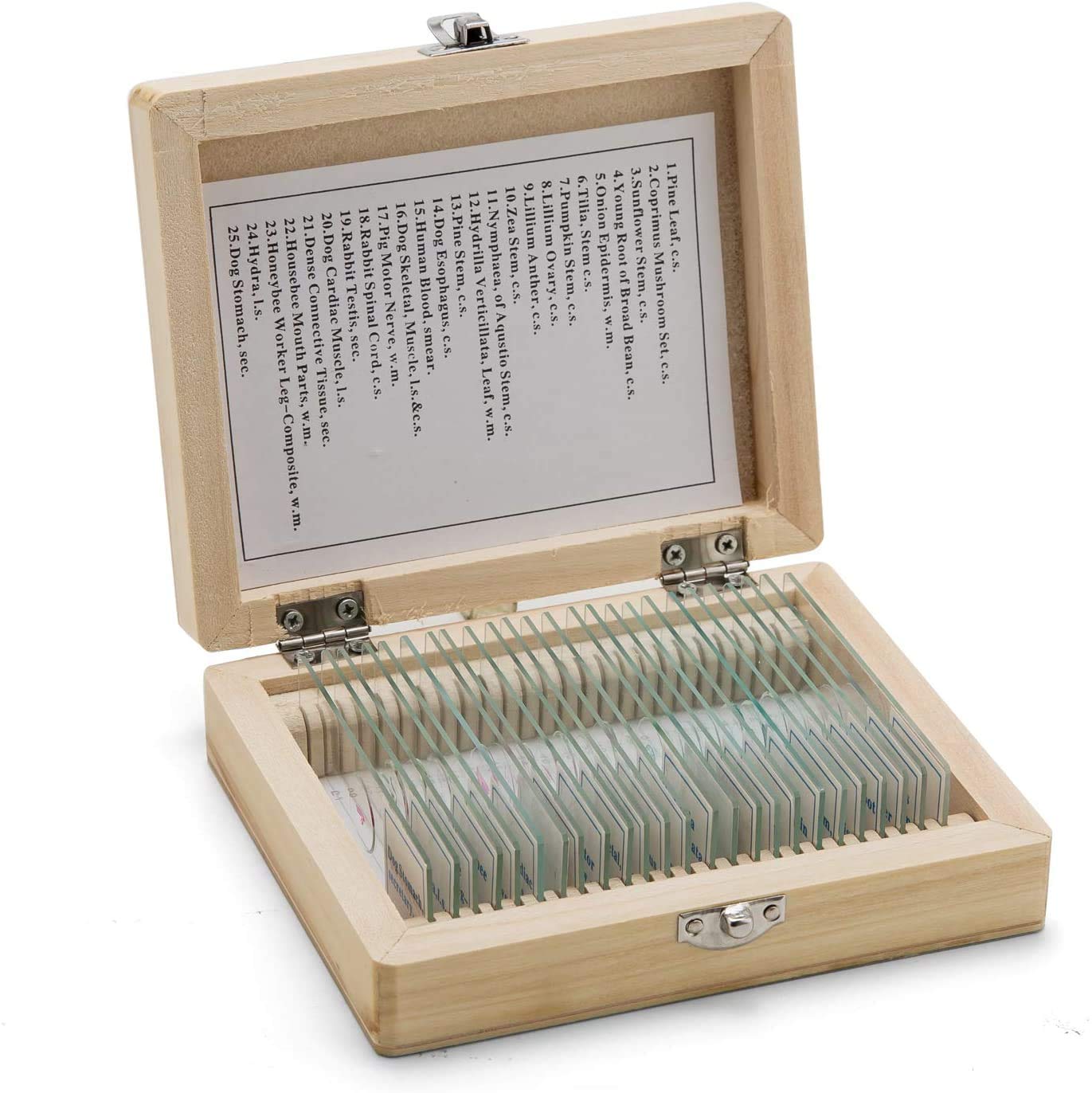 25pc Assorted Specimen Collection of Prepared Microscope Slides Glass Slide