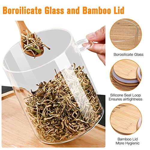 2 Pack Airtight Glass Jars with Bamboo Lid & Spoons, 19 Oz/540ML Glass Food Storage Containers Overnight Oats Containers with Lids, Decorative Kitchen Jars for Sugar, Storage,Cookie, Candy, Tea.