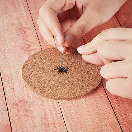 500 Pieces Stainless Steel Insect Pins Specimen Pins Entomology Pins Butterfly Collection Needles for School Lab Entomology Butterfly Collectors, 5 Sizes
