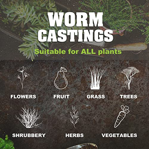 20 oz 100% Organic Worm Castings β Natural Superfood for Plant Growth, Root Development & Growing Healthier, Stronger Crops β Non Toxic & Kind to Soil β Resealable Zip Pouch β Life Cycle Organics