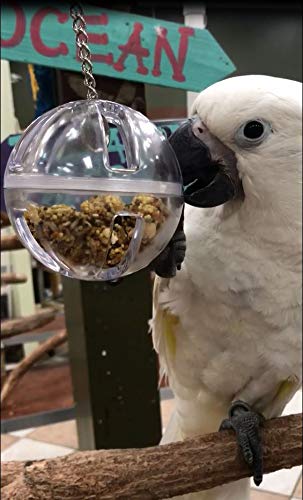 Birds LOVE 3" Hanging Clear Foraging Plastic Perforated Ball Unscrews, Put Bird Treats Inside, Comes w Vine Balls Inside, Bird Cage Medium to Large Bird Toy