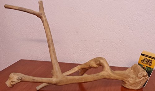 A&E Cage Medium Multi-Branch ? 22? x 1.6? Java Wood
