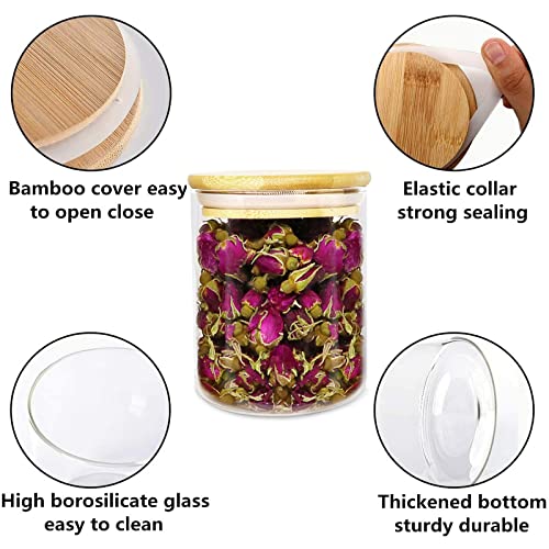 Hoanra 15oz Glass Jars with Airtight Bamboo Lids, Small Food Storage Containers, for Kitchen Pantry Organization Tea Coffee Candy Cookies Nuts(9 Pack)