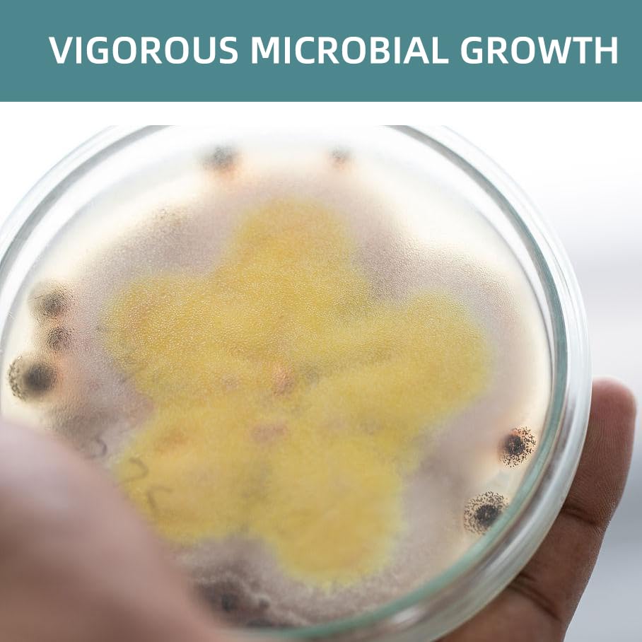 142 Grams Nutrient Agar Powder, Makes Over 210 to 280 Agar Petri Dishes, Easy to Use, Suitable for Scientific Research, Educational Experiments or Detection of Microbial Pollutants