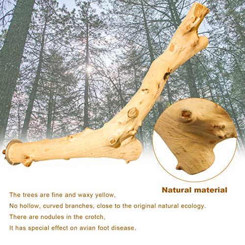 5 PCS Bird Perch Wood Stand Pole,Bird Wood Perch Platform Exercise Playground Toy for Pet Parrot Budgie Parakeet Cockatiel Conure Lovebirds Cage Accessories Toys (H01)
