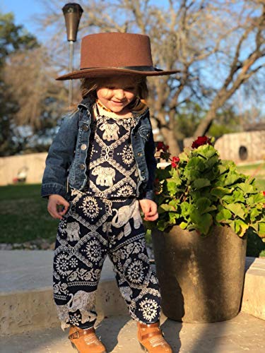 2Pcs/Set Kids Baby Girls Elephant Jumpsuit Romper, Straps Tops+Harem Pants Outfit (2-3 Years, Blue)