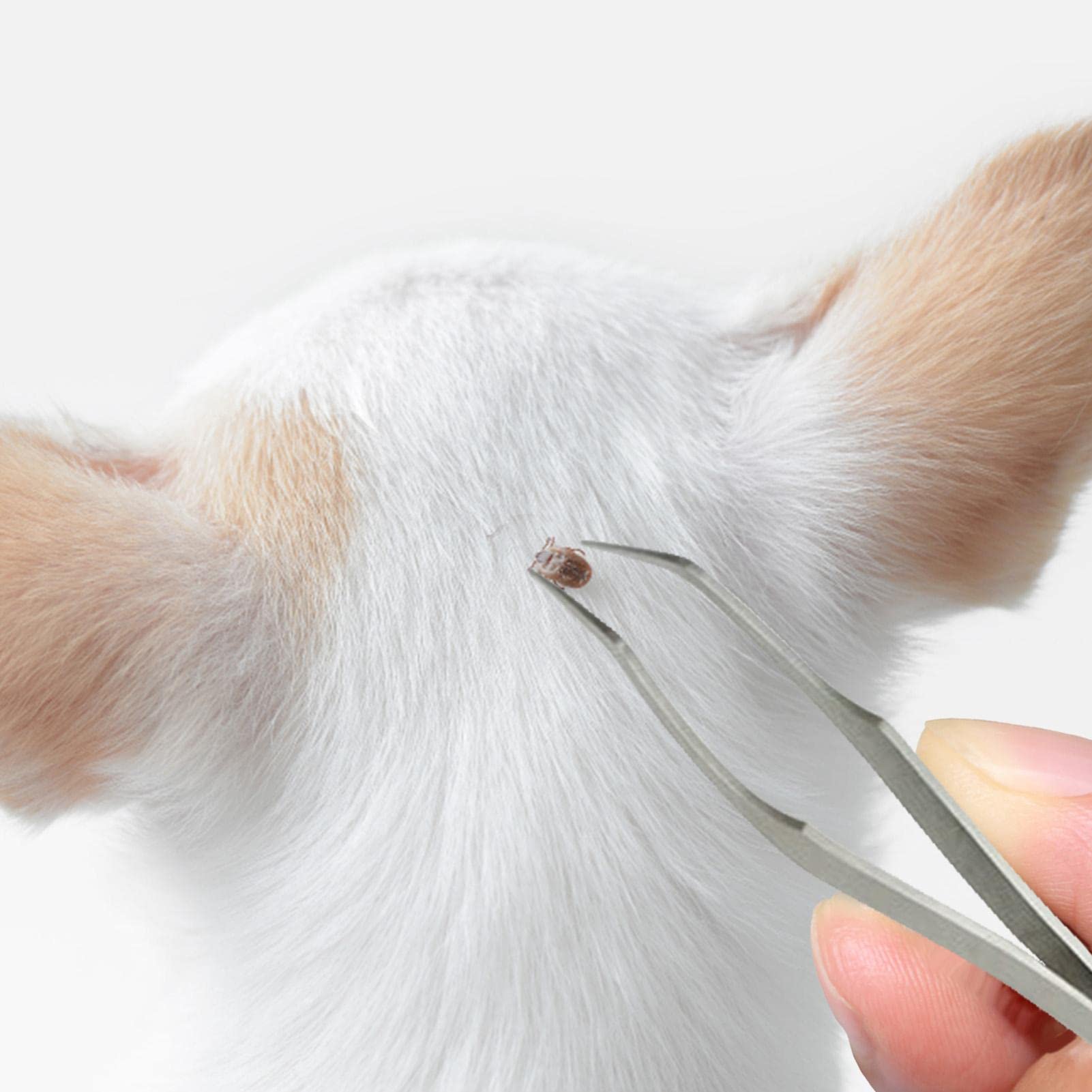 2 in 1 Tick Removal Tool for Pets, Stainless Steel Professional Tick Tweezers Ticks Remover for Dogs, Cats & Humans