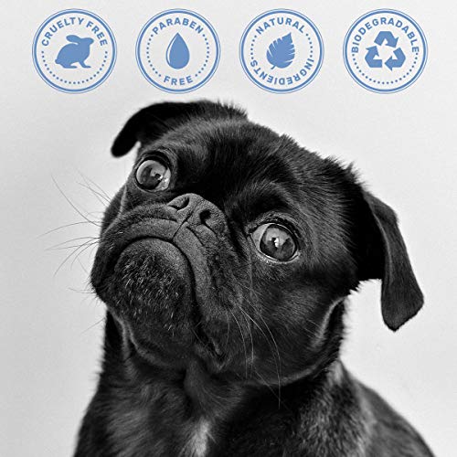 Dog Shampoo with Oatmeal and Aloe. Shea Butter for Smelly Dogs, Puppy Shampoo by Oliver's Choice 14 oz