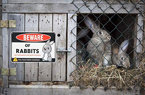Venicor Beware of Rabbit Sign Decor - 8 x 12 Inches - Aluminum - Bunny Rabbit Decorations Accessories Gifts Supplies Stickers Stuff