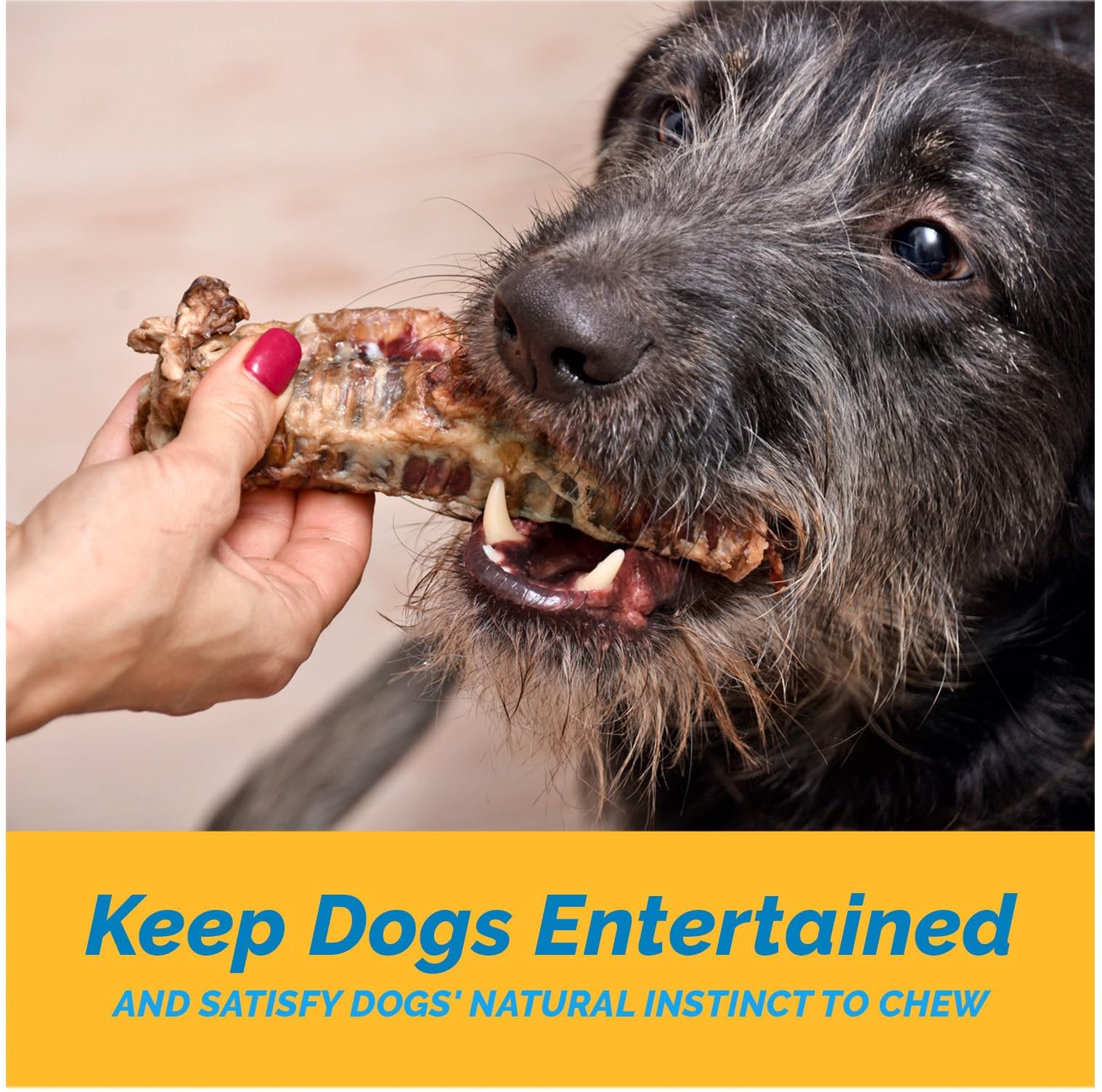 123 Treats Premium Beef Trachea for Dogs โ 6 Inch 100% Natural Beef Dog Chews, Rich in Glucosamine and Chondroitin for Joint & Hip Mobility (10 Count)