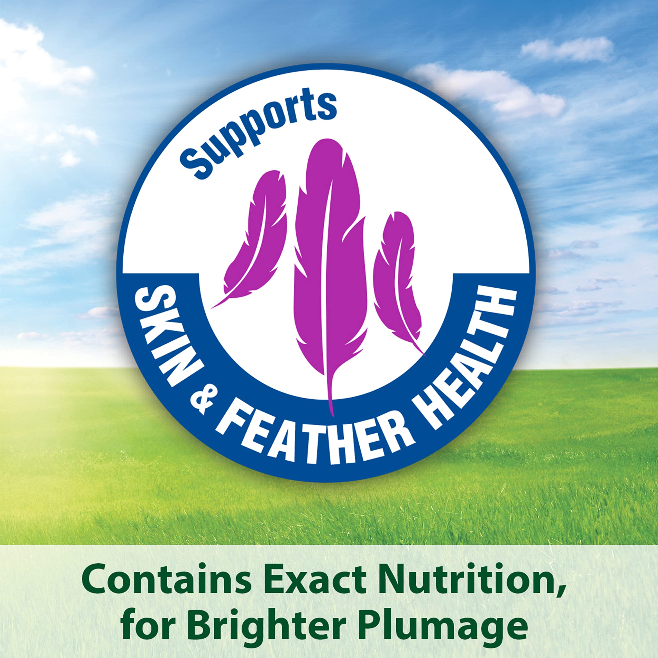 Kaytee Forti-Diet Pro Health Cockatiel Pet Bird Food with Safflower, 4 Pound