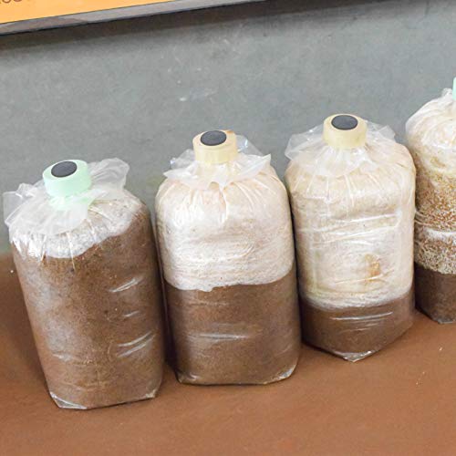 64 Pieces Synthetic Filter Paper Stickers 0.3 um Filter Disc Mushroom and 100 Pieces Vial Rubber Stopper Injection Ports for Mushroom Cultivation(7.6mm Diameter)