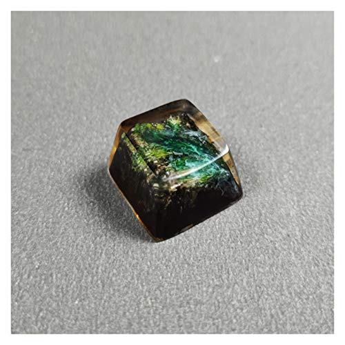 YEZIN Key Caps for Keyboard Resin Keycaps Mechanical Gaming Keyboard SA R1 R2 R3 R4 Handmade Key Cap (Axis Body : SA R1, Color : Keycaps 2)