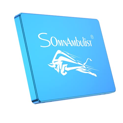 Somnambulist 2.5 inch SATA SSD120GB 240GB 60GB SATA3 Internal Ssd Solid State Hard Drive (Blue Cow-60GB)
