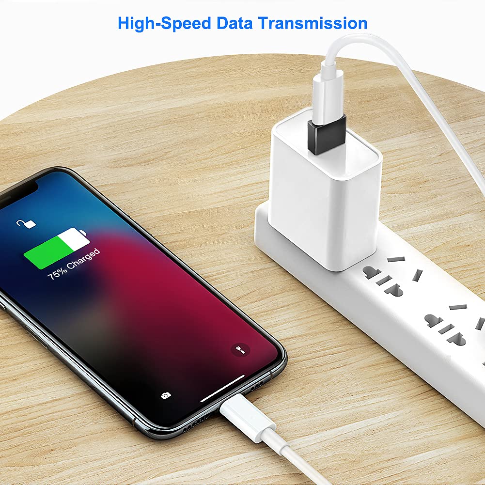 leizhan USB C Female to USB Male Adapter 2 Pack, USB C to USB OTG Adapter, Type C to A Charger Cable Converter Compatible for MacBook Samsung with Wall Charger Power Bank Laptop