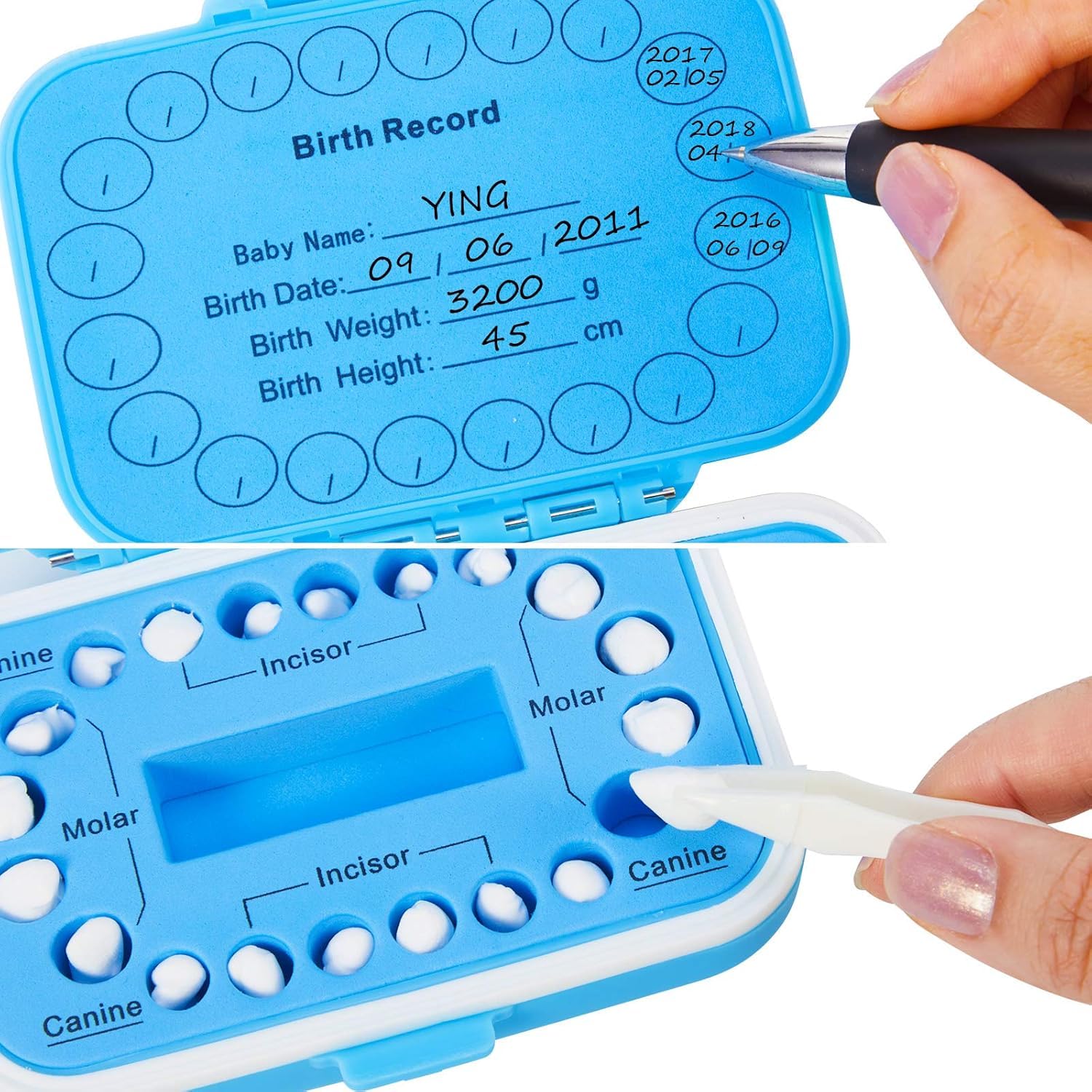Baby Tooth Box Keepsake for Kids Teeth Storage Holder Child Teeth Organizer Tooth Fairy Box with Baby Fetal Hair Container and Tweezer for Keeping The Child Memory(Blue)