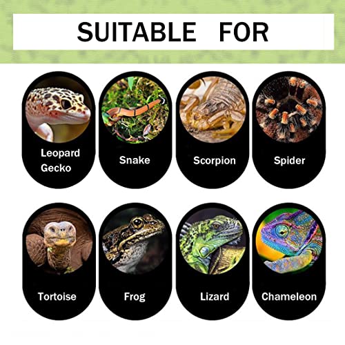 Hamiledyi Reptile Hideout Cave,Resin Simulation Rock Hideout Terrarium Habitat Decortion for Lizards Geckos Chameleons Frogs Turtles Snakes