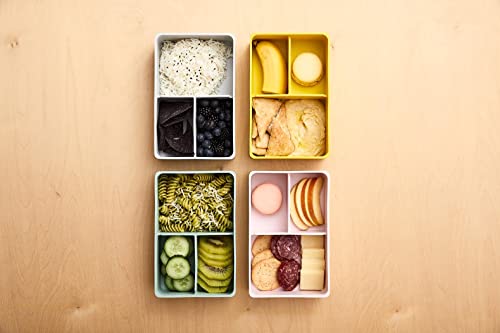 3 Sprouts Silicone Bento Box - Leakproof Lunch Container - Lion