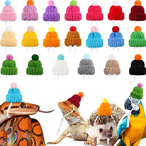 20 Pcs Pet Snake Hat with Adjustable Elastic Chin Strap, Small Reptile Animal Hamster Knitted Hat Pompon Mini Hats for Pets Snake Ball Python Lizard Guinea Pig Chameleon Iguanas Accessories Decoration
