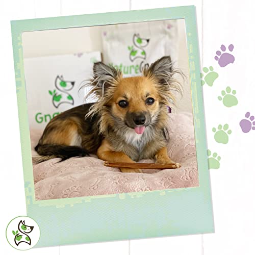 Nature Gnaws Mixed Bully Sticks for Small Dogs - Premium Natural Tasty Beef Bones - Simple Long Lasting Dog Chew Treats - Rawhide Free - 6 Inch