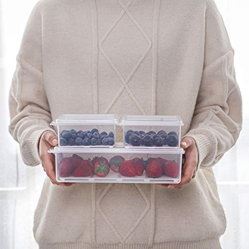 Komax Daykips Berry Containers for Fridge | (Set of 3) lettuce keeper for fridge | Produce Storage BPA-Free Freezer and Fridge Organizers with Dripping Tray | Salad Keeper