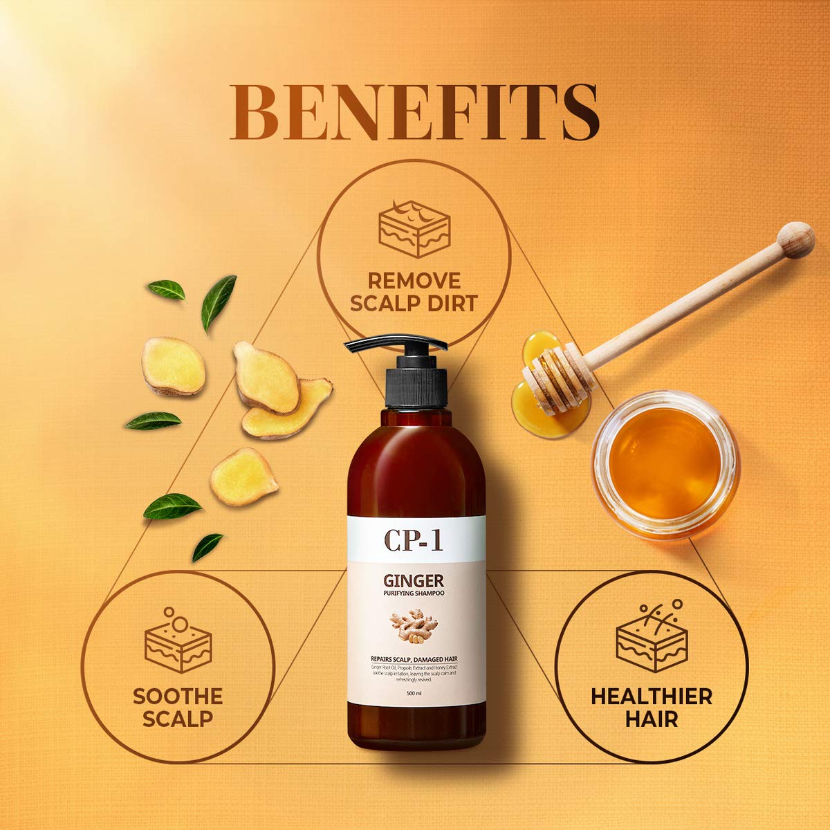 CP-1 GINGER PURIFYING SHAMPOO, Recovery Strengthening care, Scalp care, 16.9 fl oz