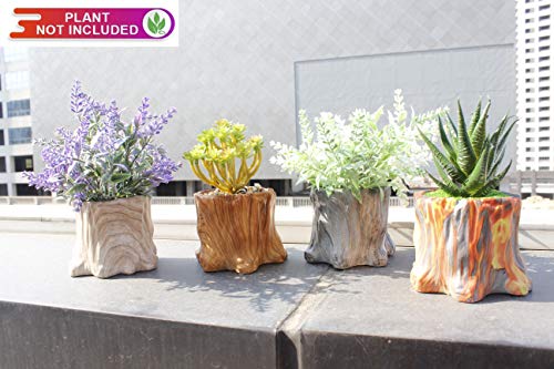 2CFUN Succulent Planter Pots Small Ceramic Flower Cactus Pots Set 4 Pack Tree Stump Succulent Pots with Drainage Bonsai Pots 4.33 Inch Gift for Home Decor Indoor Outdoor