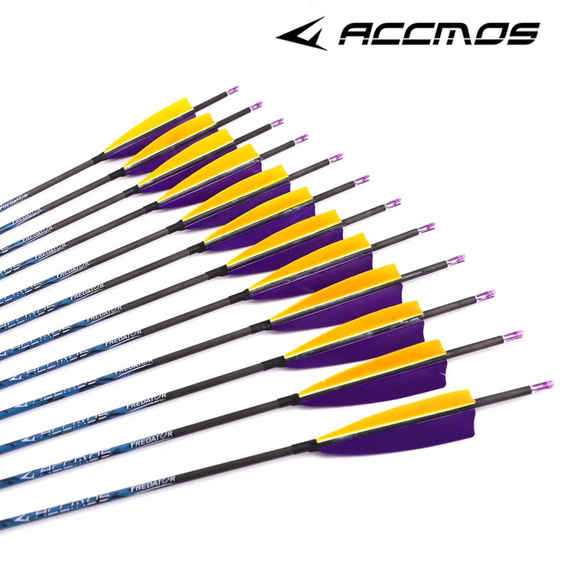 18pc 32inch Pure Carbon Arrows 4"Turkey Feather ID4.2 Spine700 Carbon Arrows Target Practice Arrow for Compound Bow Recurve Bow Arrows Hunting Arrow Replaceable Arrowhead Adult Youth Archery Shooting