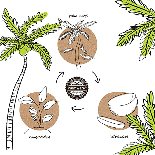 BIOZOYG Palm Leaf Tableware|6" Square Classic Plate|25 Pieces Palm Plates|Biodegradable and Compostable Serving Trays for Weddings, Parties, and Catering|Eco-Friendly & Compostable Dinnerware