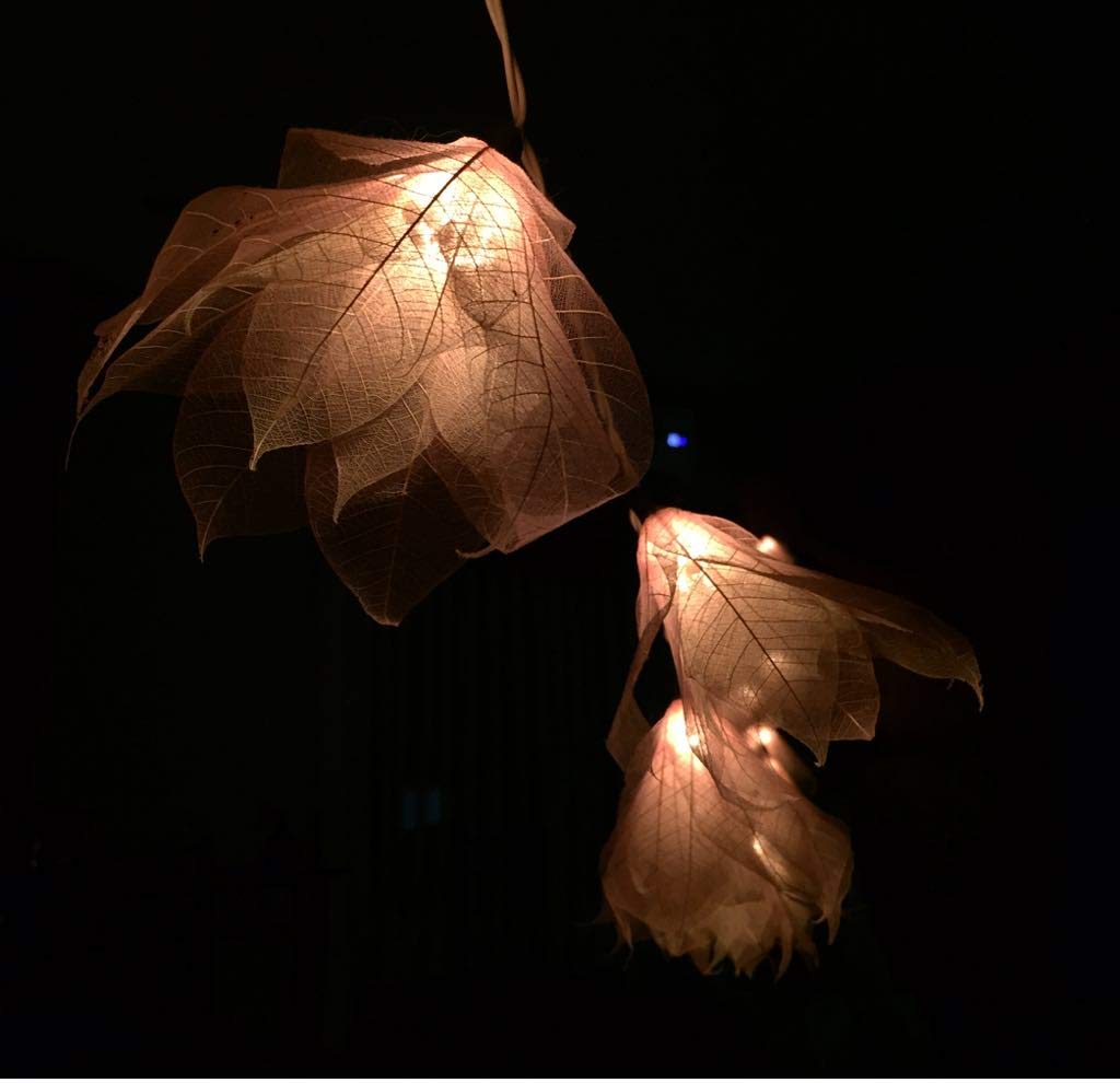 20 LED String Lights Pink Flower Fairy String Lights Leaves for Bedroom Window Curtain String Light Wedding Party Garden Outdoor Indoor Wall Decorations, Diameter 10cm (Long 9ft)