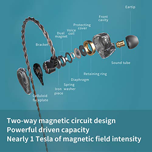 FiiO FD1 Hi-Res Earphone Wired,Beryllium-Plated 1DD,4-Stranded High-Purity Monocrystalline Copper, 0.78pin,Strong Bass (Without Mic,Black)