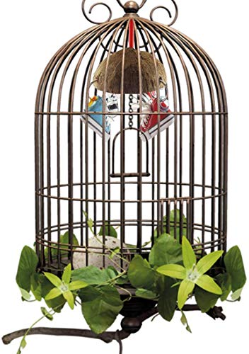Bird Training Toys Coco Shell with Mini Sneaker Ring Chew Toy, Parrot Cage Hanging Toys for African Grey ,Cockatoo,Macaw