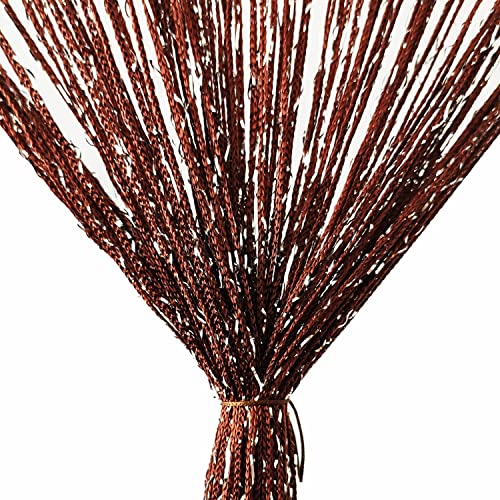 2 Pcs Door String Curtain Doorway Beads Curtains,Hanging Room Divider Beaded Decor Hippie Glitter Fringe Panel Closet Window Wall Backdrop Doors Sequin Sheer Boho Doors Tassel (2, Coffee, 39×79in)