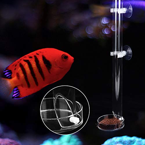 Acrylic Shrimp Feeder Tube, Ornamental Aquarium Feeding Tube Fish Food Container Set with Sucker Hook Fish Tank Aessories(40cm)