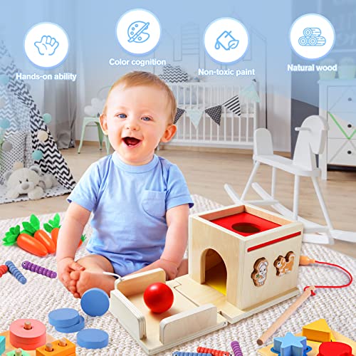Asweets 8 in 1 Montessori Toys for 1 Year Old Includes Object Permanence Box,Montessori Coin Box,Carrot Harvest Game,Matchstick Color Drop Game,Ball Drop Learning Toys for 6-12 Months