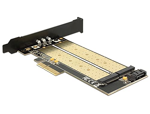 Adap Delock PCI-E Karte Memory Controller