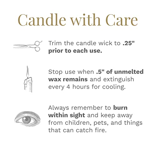 CLCo by Candle-lite Scented Candles, Wine Cellar Fragrance, One 14 oz. Single-Wick Aromatherapy Candle with 90 Hours of Burn Time, White Color