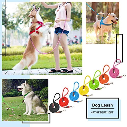 MayPaw 4FT/6FT/8FT/10FT Dog Leash, Classic Solid Colors, Durable Mountain Climbing Rope Dog Leash Reinforced with Leather Tailor Connection Heavy Duty Silver Clasp, 6 Foot Dog Leash Black
