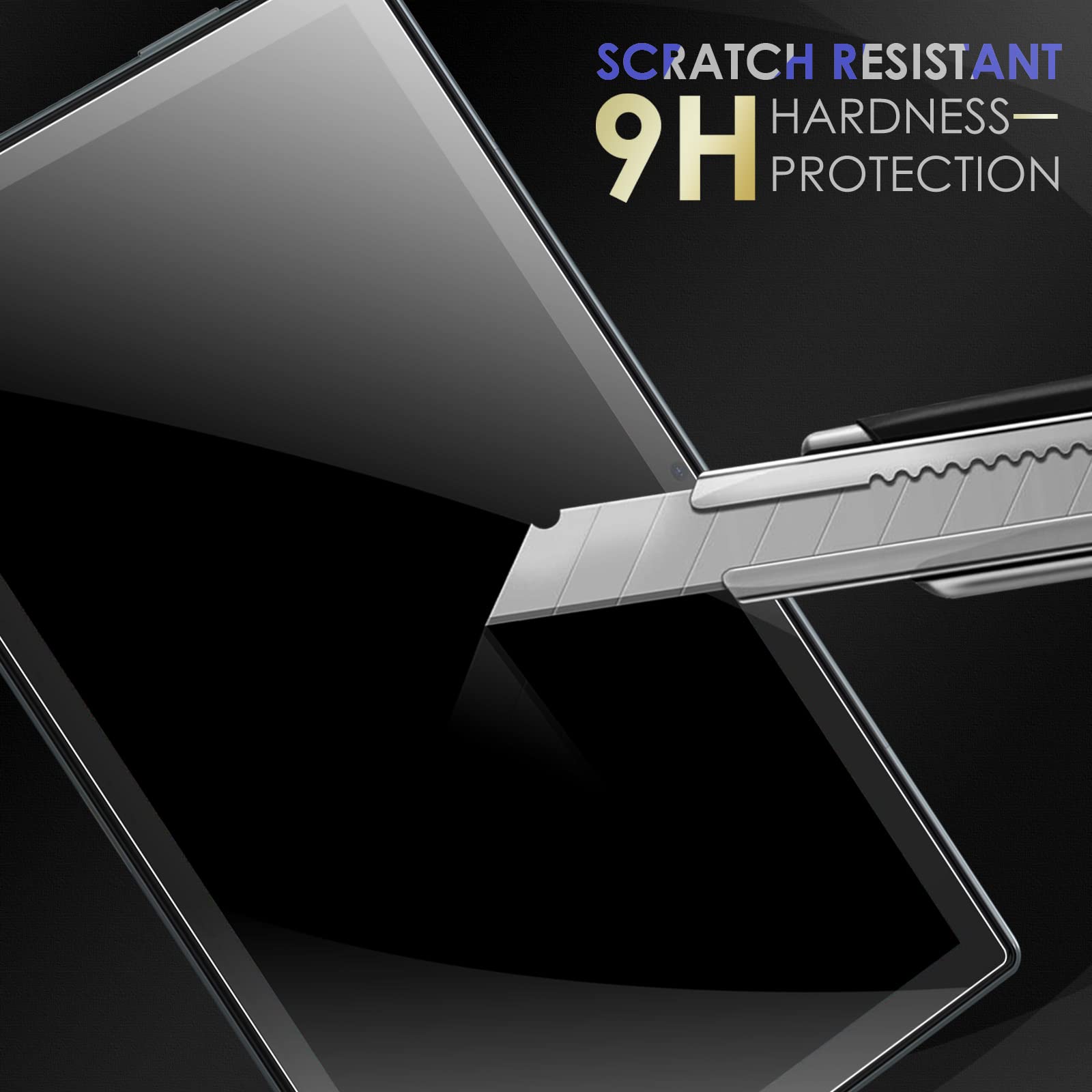 DETUOSI 【2-PACK】 Screen Protector for WECOOL WM1001-W 10.1 inch, Tabtrust TT100AB, YIERA 10.1", Tabtrust TT100DB, HAOQIN HaoTab H10 10.1, Tagital T10K, XINYANGCH 10.1" Tablet Tempered Glass Protector