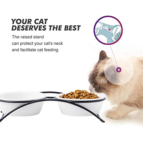 KitchenLeStar Cat Bowls,Cat Food Bowls Set,Ceramic Elevated Pet Dishes Bowls with Stand,12 oz Cats and Small Dogs Bowls,Dishwasher Safe.