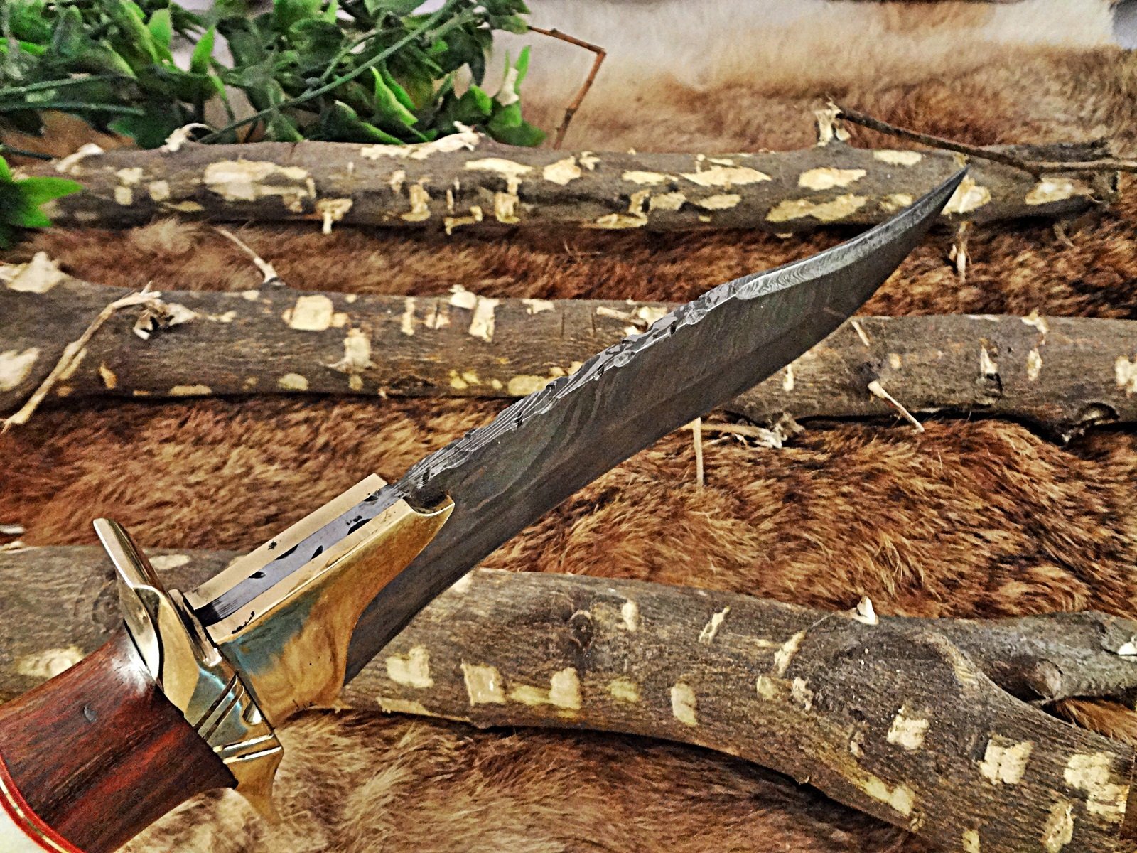 15" Long hand forged Damascus steel hunting Knife, Natural camel Bone and Walnut wood with engraved brass handle, Cow hide Leather sheath with belt loop