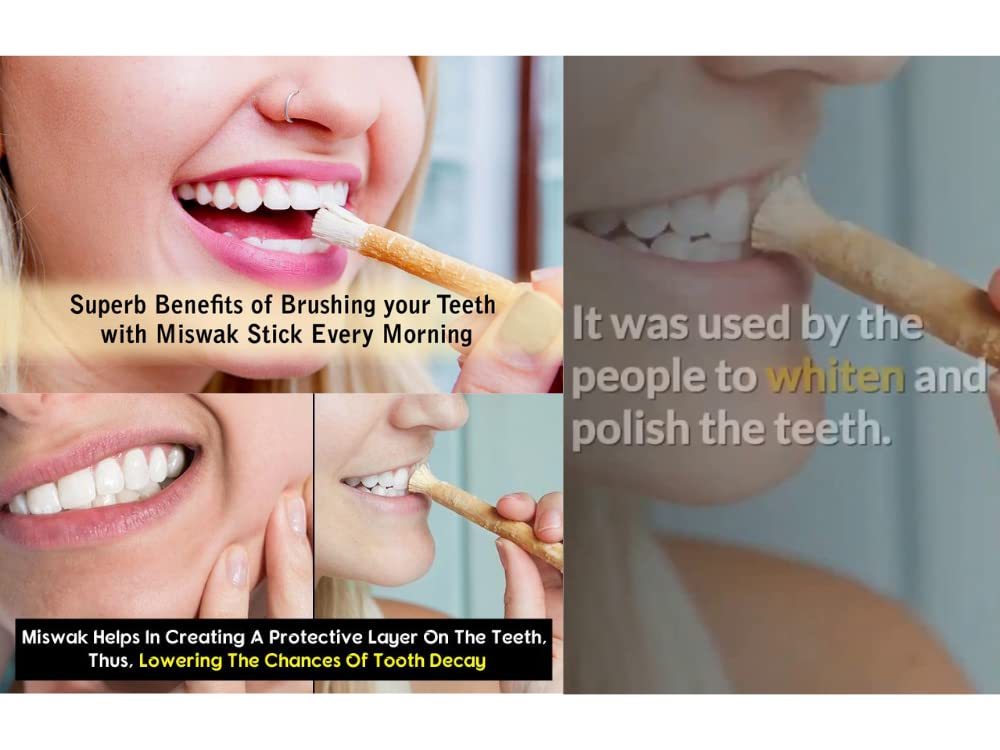 Organic Herbs Traditional Natural Miswak (sewak) Peelu Chewing Stick Toothbrush for Whiter Teeth (Pack of 3)