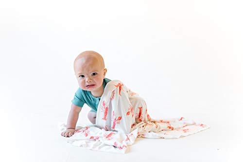 Copper Pearl Large Premium Knit Baby Swaddle Receiving Blanket Skipper