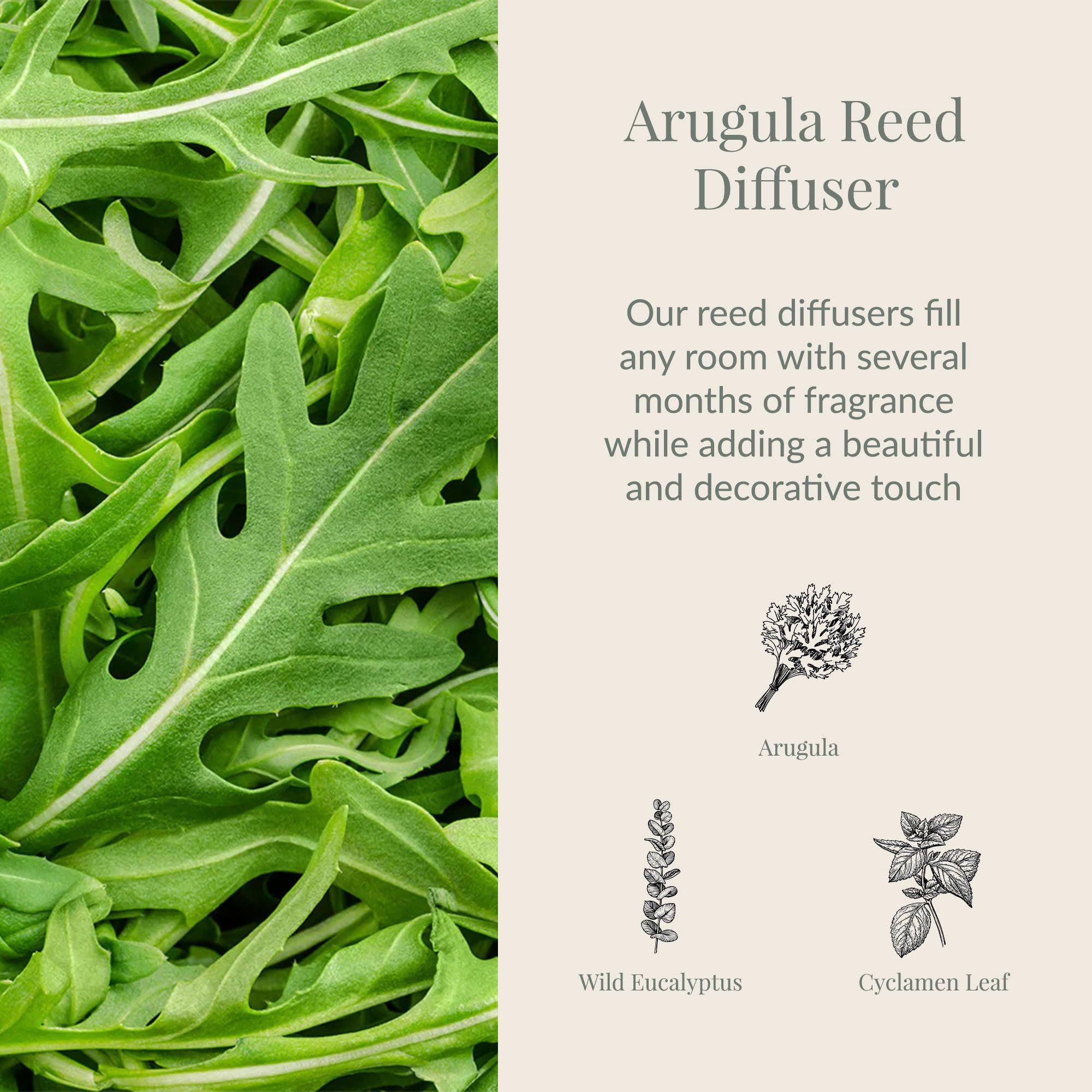 Archipelago Botanicals Arugula Reed Diffuser, Home Fragrance Reed Diffuser, Includes Fragrance Oil, Decorative Wooden Cap & 10 Diffuser Reeds, Perfect for Home, Office or Gift, 7.85 fl oz