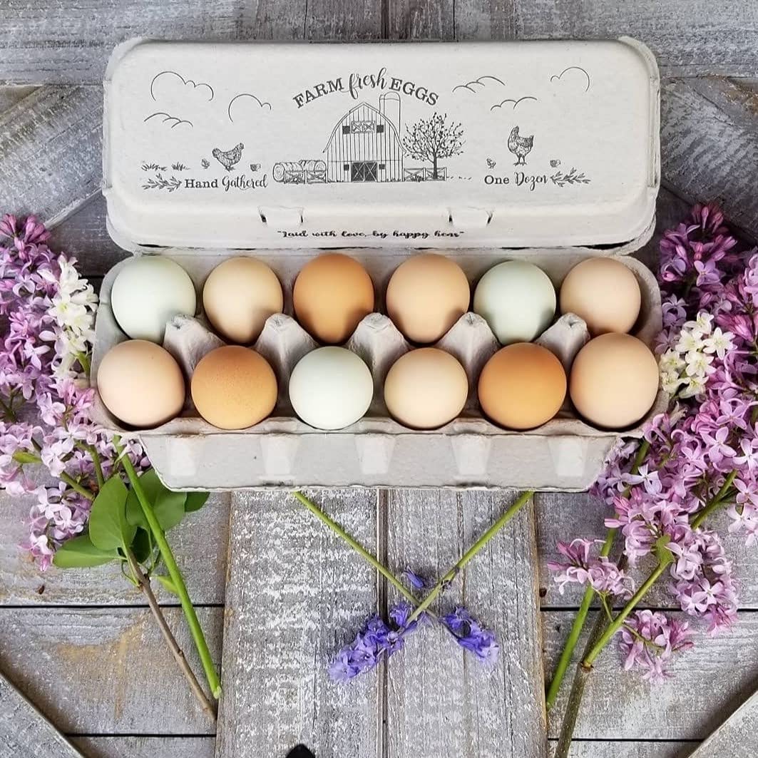 20 Egg Cartons – Adorable Printed Vintage Design Flattop Carton for your Farm Fresh Eggs, 100% Recycled & Eco-friendly Cartons, Sturdy & Reusable, Holds Small to XL Chicken Eggs