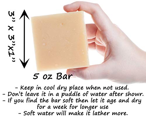 360Feel Bay Rum Soap - Handmade Bar with Woodsy Sweet, Spicy Scent and Bay Rum Shaving Soap - Gift Ready for Men - Castile Man - 5 Ounce