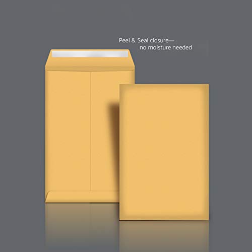 Amazon Basics Catalog Mailing Envelopes, Peel & Seal, 9x12 Inch, Brown Kraft, 100-Pack