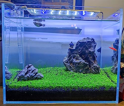 3 Fresh Water Live Plant Seeeds for Aquarium and Fish Tank, 3 Different Aquatic Plant Decor Water Grass Dwarf Mini Tiny Leaves Hair Grass Seeed (0.36ozTiny+0.36oz Long+0.36oz Short) qwe